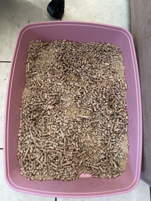 So Phresh Pine Pellet Cat Litter 40 lbs - Odor Control & Eco-Friendly