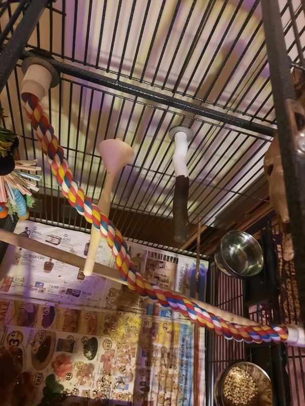 You & Me Colorful V-Shaped Rope Bird Perch, Small | Petco