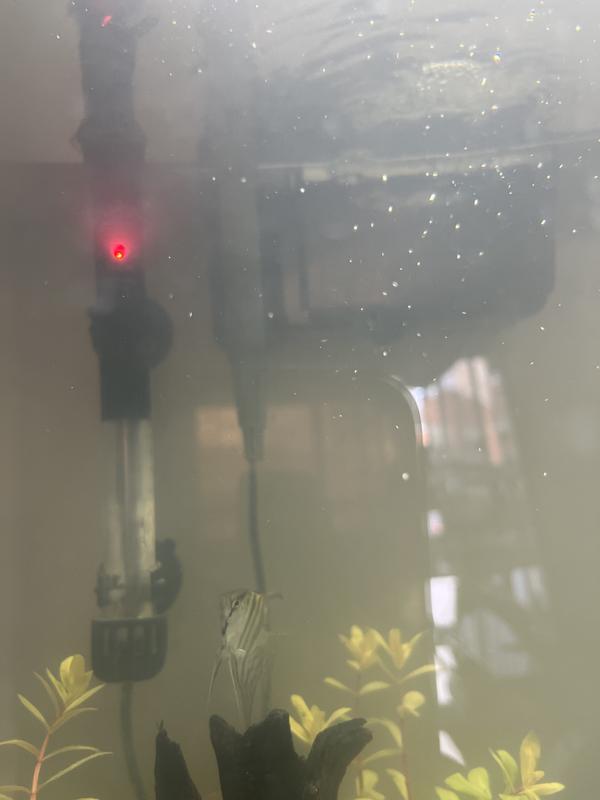 FLUVAL AQUACLEAR 50 AQUARIUM POWER FILTER | PETCO