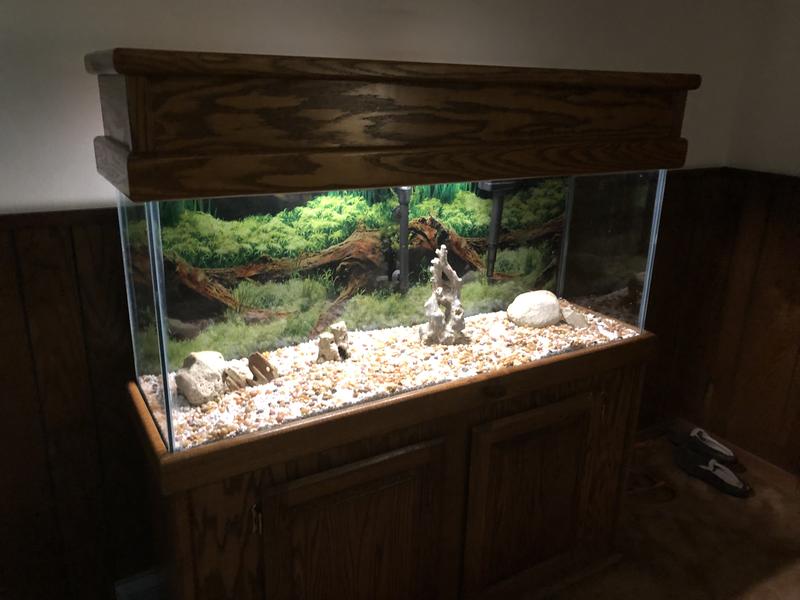 Aqueon QuietFlow LED PRO 75 Aquarium Power Filter | Petco