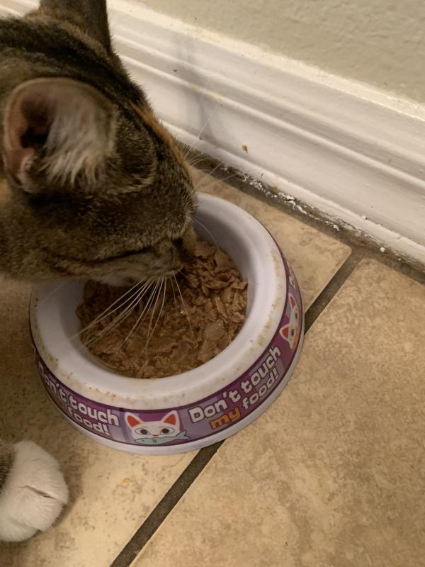 WholeHearted Grain-Free Ocean Fish Morsels in Extra Gravy Wet Cat Food ...