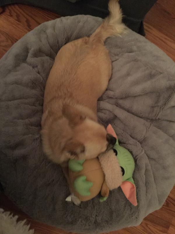 FurHaven Round Plush Ball Pet Bed, 19.7" L X 19.7" W X 26" D, Shell | Petco