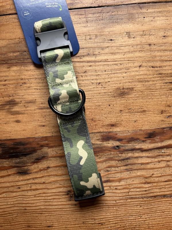 Youly Multiple Colors/Finishes Dog Collar, Medium 3877650 at Lowes.com