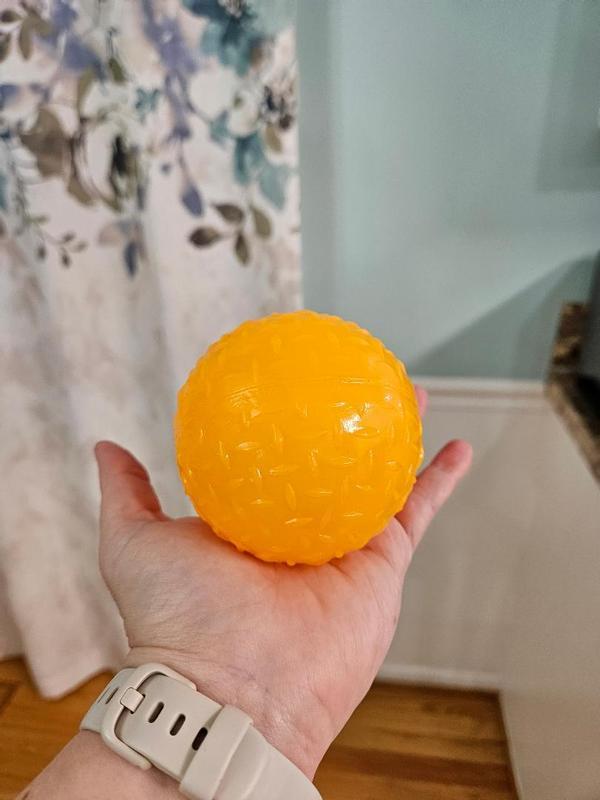 Leaps & Bounds Romp & Run Glow-In-The-Dark Bouncy Ball Dog Toy in ...