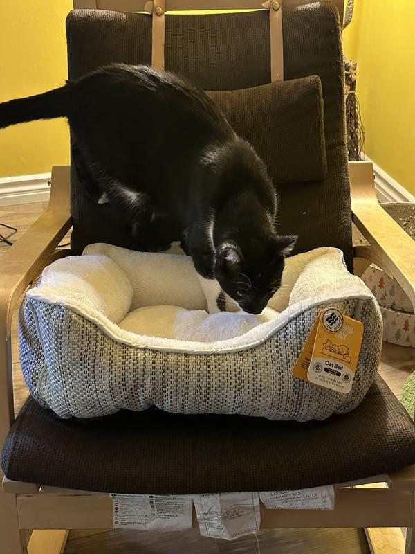 EveryYay Gray Orthopedic Luxe Rectangle Cat Bed, 20"x18"x7" | Petco