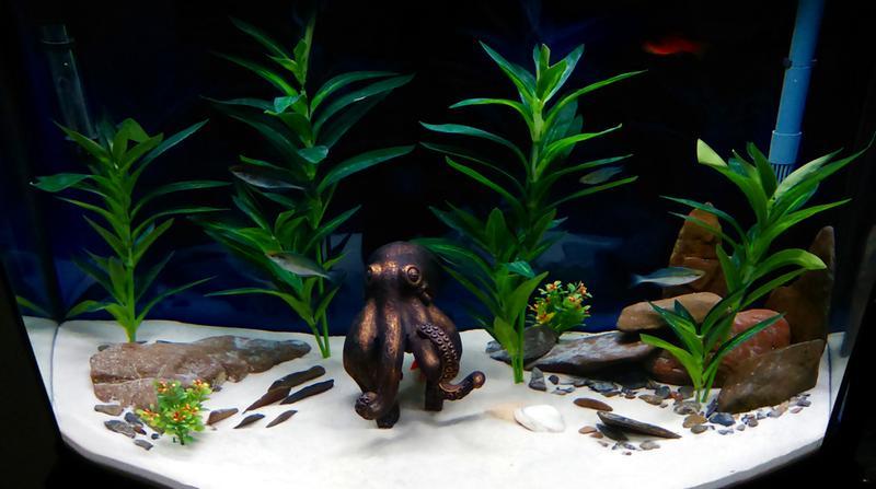 Penn-Plax Double-Sided Aquarium Background, Deep Blue Sea/Amazon Waters ...