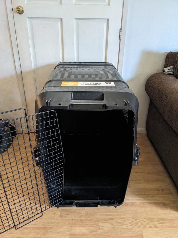 EveryYay Hard Shell PVC Dog Crate Medium 3.01-ft L x 2.1-ft W x 1.9-ft ...