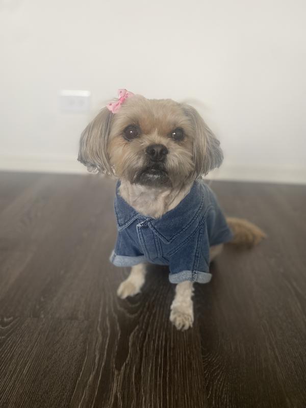 YOULY Denim Pet Jacket, XX-Small | Petco