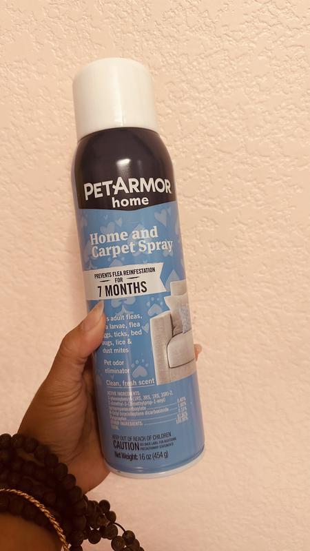 PetArmor Home and Carpet Fleas and Ticks Pet Spray, 16 fl. oz. | Petco