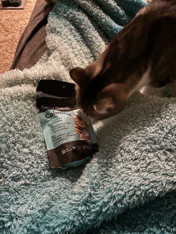 Pet Honesty Calming Dual Texture Cat Chews, 3.7 oz. | Petco