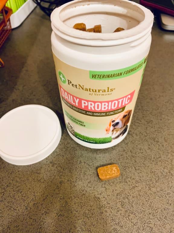 Pet Naturals Daily Probiotic for Digestive Help, Duck Flavor Dog Chews ...