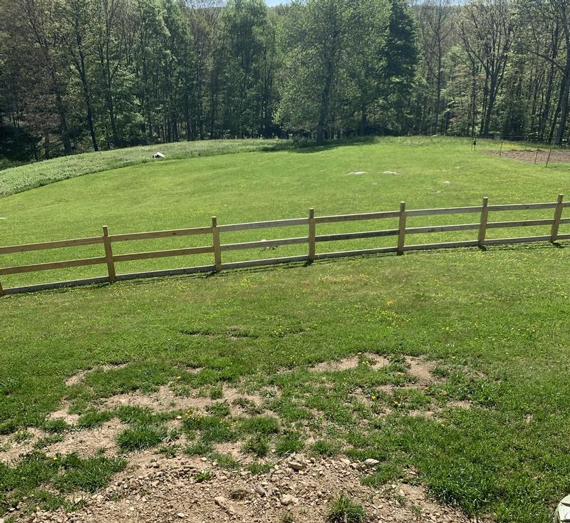 PetSafe Basic In-Ground Pet Fence | Petco