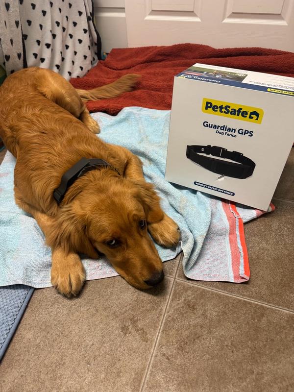 PetSafe Guardian GPS Dog Fence at Tractor Supply Co