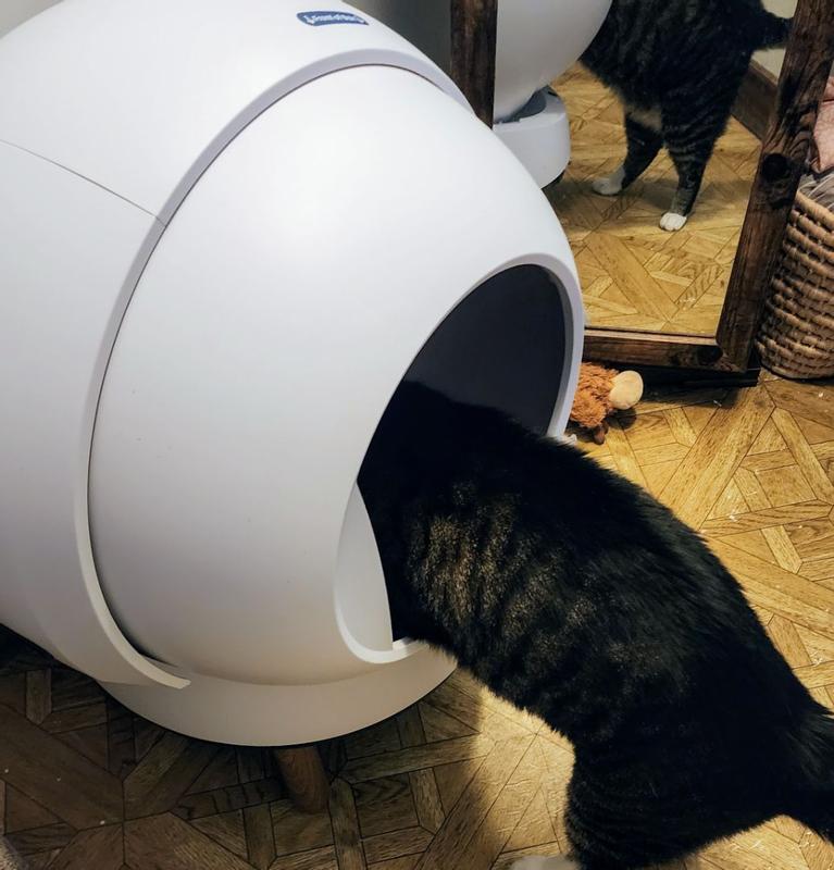 PetSafe ScoopFree SmartSpin Self-Cleaning Litter Box at Tractor Supply Co.