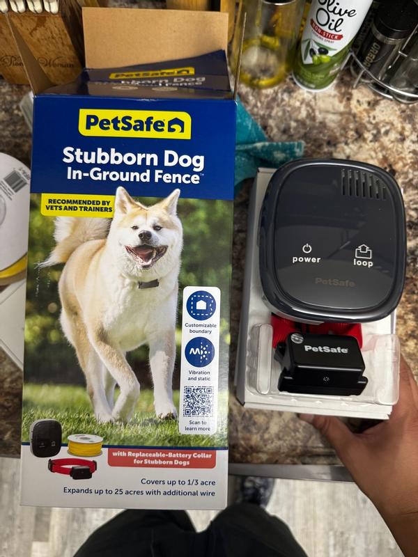 PetSafe 500 ft. Stubborn Dog In-Ground Pet Fence at Tractor Supply Co