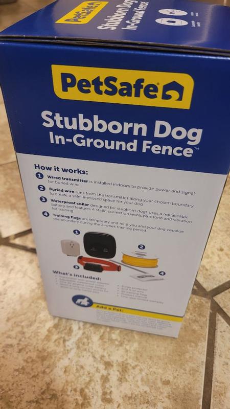 PetSafe 500 ft. Stubborn Dog In-Ground Pet Fence at Tractor Supply Co