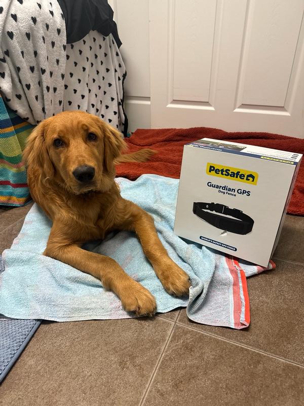 PetSafe Guardian GPS Dog Fence at Tractor Supply Co