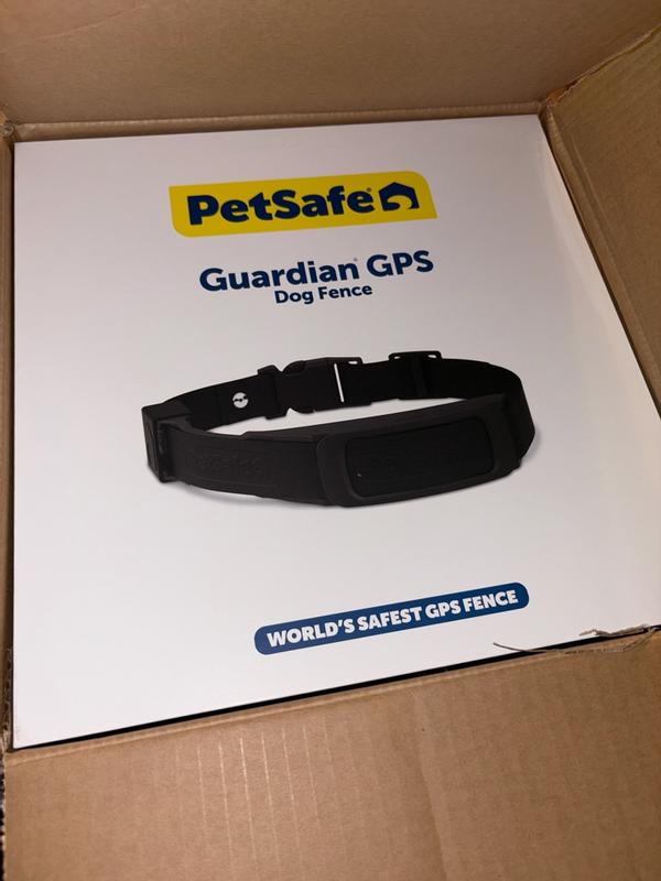 PetSafe Guardian GPS Dog Fence at Tractor Supply Co