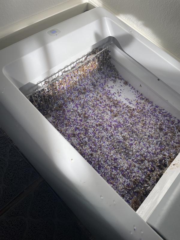 PetSafe ScoopFree Crystal Classic Self-Cleaning Litter Box at Tractor ...