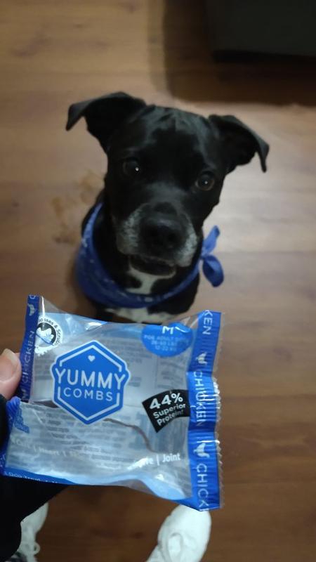 Yummy Combs Dental Treats for Dog Chicken Flavor 1020009SM at Lowes.com
