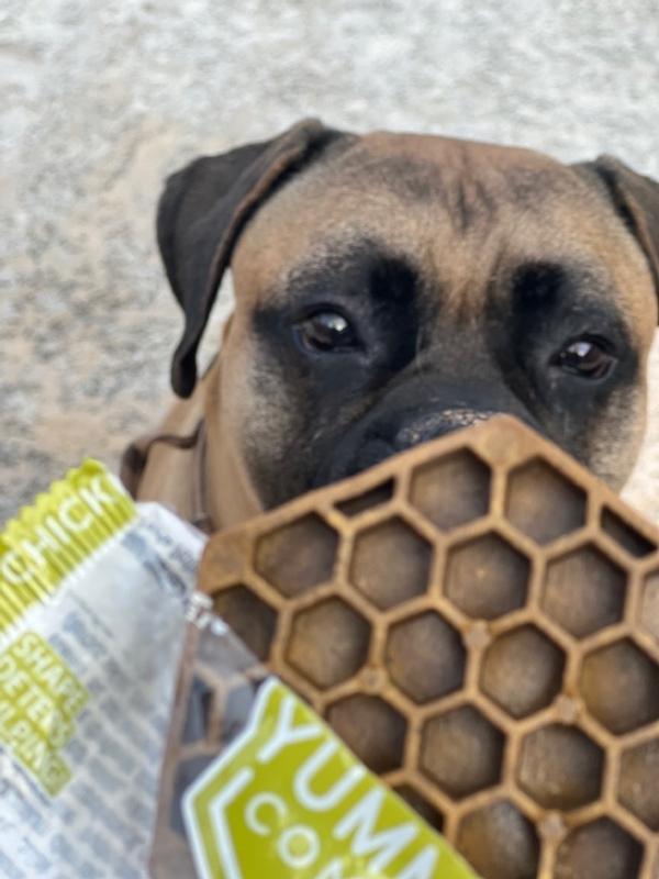 Yummy Combs Dental Treats for Dog Chicken Flavor 1020009SM at Lowes.com