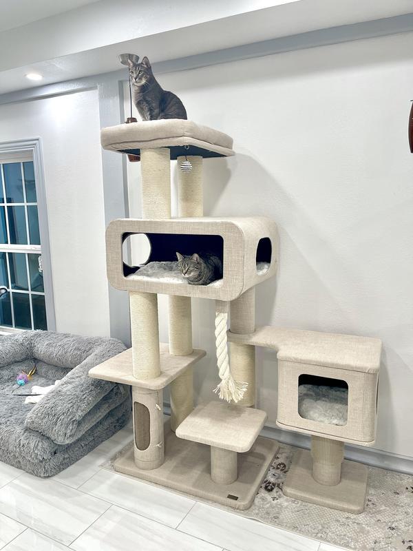 PetPals 71 Grand Maine Coon Cat Tree Ontario in the Cat Trees ...