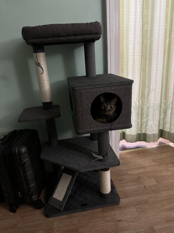 Catry Minimalistic Contemporary Cat Tree, 6 Level, Large, Stella, 67" H ...