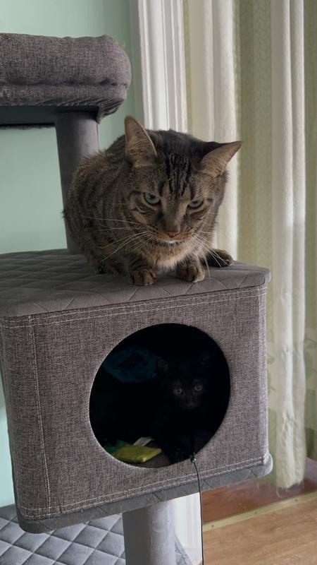 Catry Minimalistic Contemporary Cat Tree, 6 Level, Large, Stella, 67" H ...