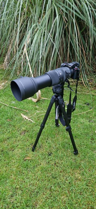 Travel Tripod | Peak Design Official Site Travel Tripod | Peak Design Official Site