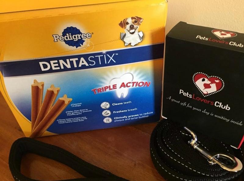 Pedigree Dentastix Original Flavor Bones Large Dog Dental Treats, 1.66 ...