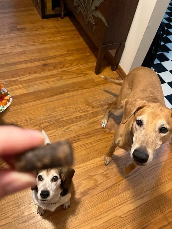 Pedigree Canine Cookout Soft Dog Treats, Chicken Flavored Meaty Sticks ...