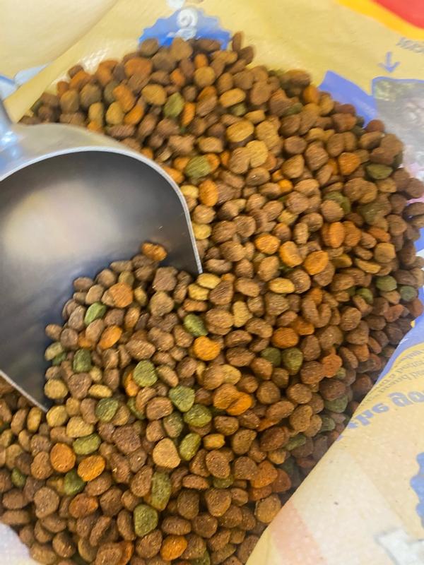 Pedigree Complete Nutrition Grilled Steak & Vegetable Flavor Kibble ...