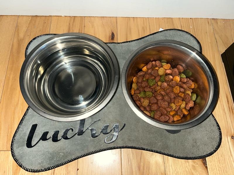 Pedigree Adult Grilled Steak & Vegetable Flavor Kibble Dry Dog Food, 18 ...