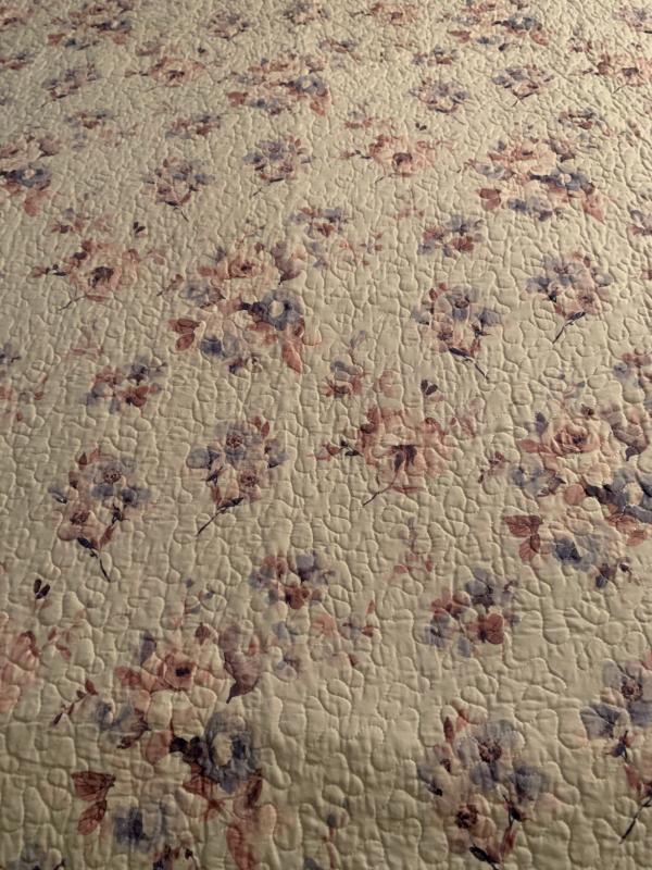 Cottage Classics Rose Dusk 2-Piece Twin XL Comforter Set - Macy's