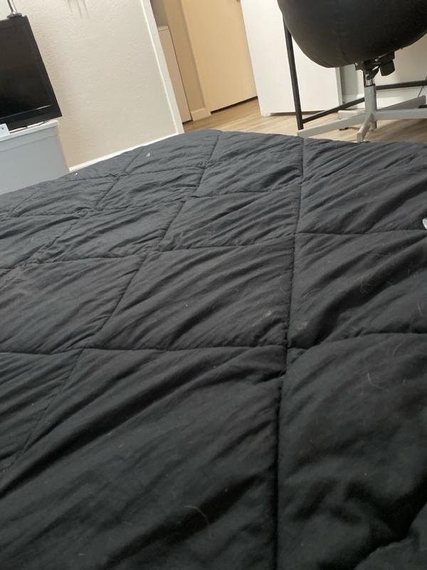 Cannon 2-Piece Black Twin/Twin Xl Comforter Set CS5850BKTX-1500 at ...