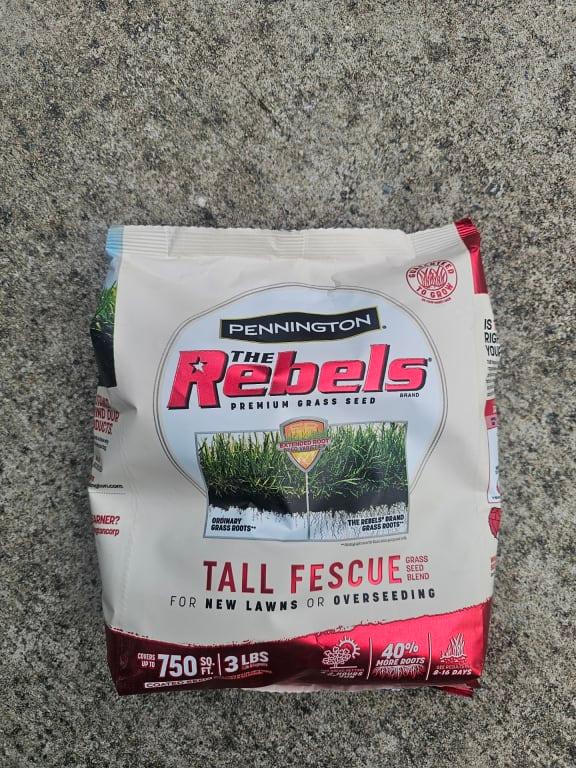 Pennington The Rebels 3-lb Tall Fescue Grass Seed 100543728 at Lowes.com
