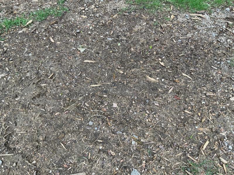 Pennington 8.75 lb. 5,000 sq. ft. Smart Seed Bermuda Mix Combination ...
