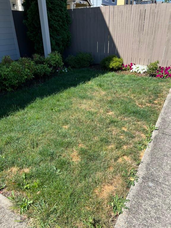 Pennington 10 lb. 200 sq. ft. Smart Patch Sun and Shade Grass Seed Mix ...