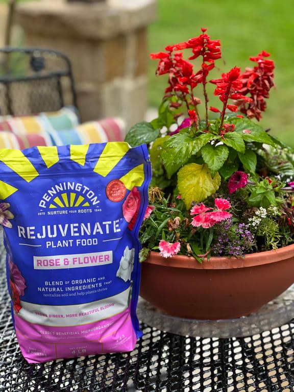 Pennington Rejuvenate 4-lb 4-6-3 Natural Granules Flower Food ...