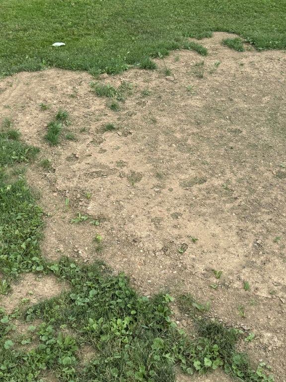 Pennington 7 lb. 1,400 sq. ft. Smart Seed Clover and Grass Mix at ...