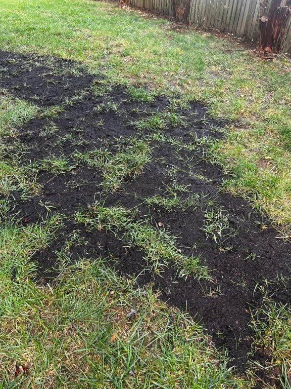 Rebel Premium 20-lb Tall Fescue Grass Seed at Lowes.com
