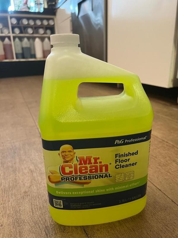 Mr. Clean Professional Liquid Floor Cleaner 1-Gallon 3700002621 at ...