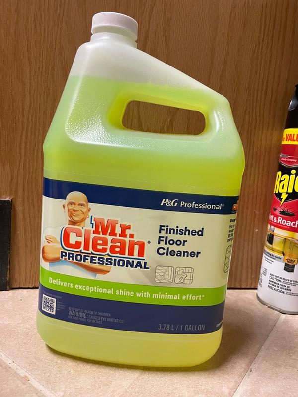 Mr. Clean Professional Liquid Floor Cleaner 1-Gallon 3700002621 at ...