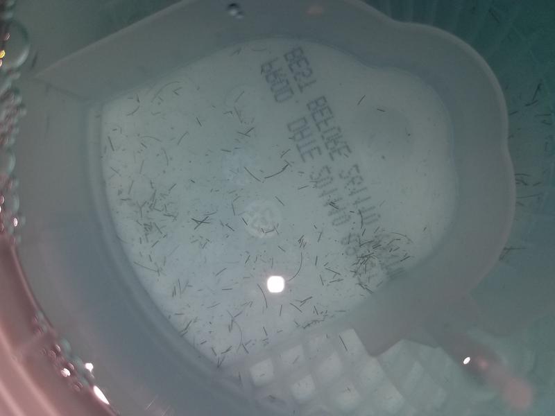 Philips Quick Clean Pod Cleaning Fluid Refill Cartridges For Electric ...