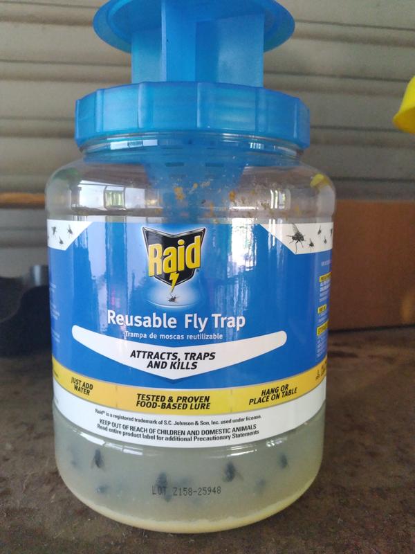 Raid Reusable Fly Jar Trap With Lure at Tractor Supply Co