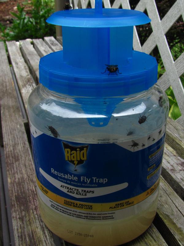 Raid Fly Trap Lure Refill at Tractor Supply Co