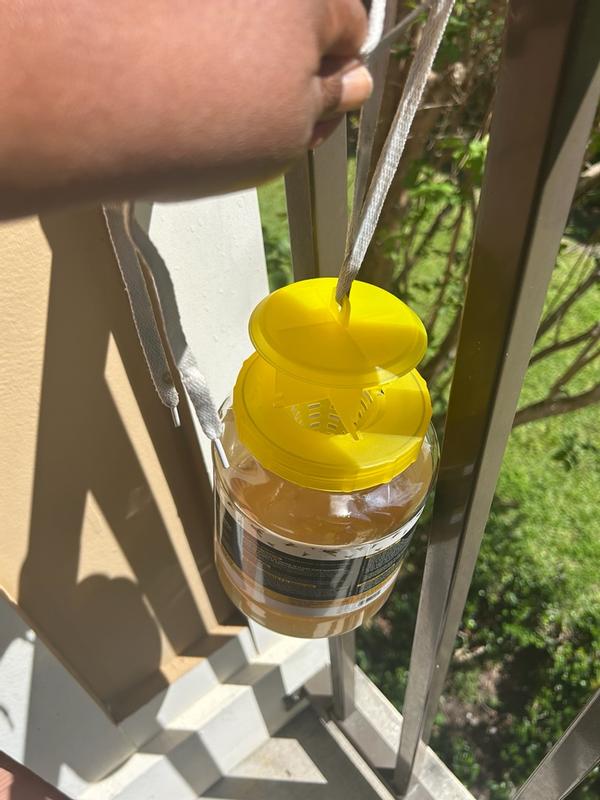 Raid Safer For Pets & Kids! Wasp Jar Insect Trap - Attracts & Kills ...