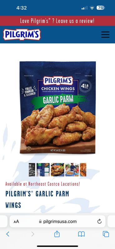 Garlic Parm Wings Pilgrims USA, 51% OFF | www.pinnaxis.com