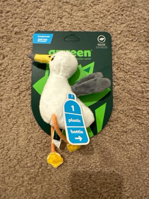 Grrreen Dangle Leg Seagull Plush Cat Toy | Petco