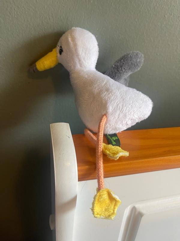 Grrreen Dangle Leg Seagull Plush Cat Toy | Petco